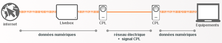 Câblage Ethernet ou CPL : quelle installation privilégier ? - Aide et ...