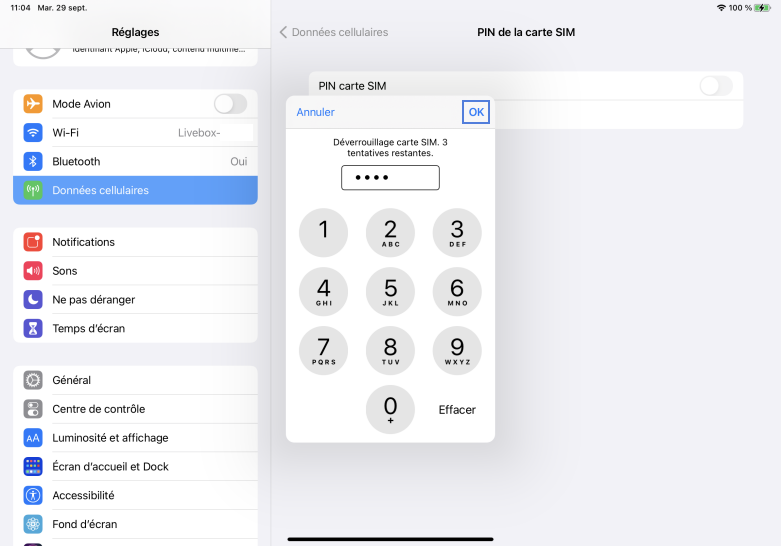 Comment activer la demande de code PIN sur votre iPad sous iPadOS 16 ...